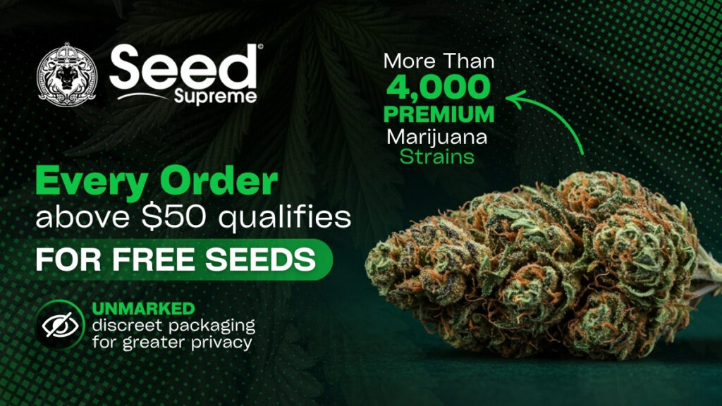 Best Seed Banks of 2025: Reputable Cannabis Seed Banks to Buy Cannabis ...